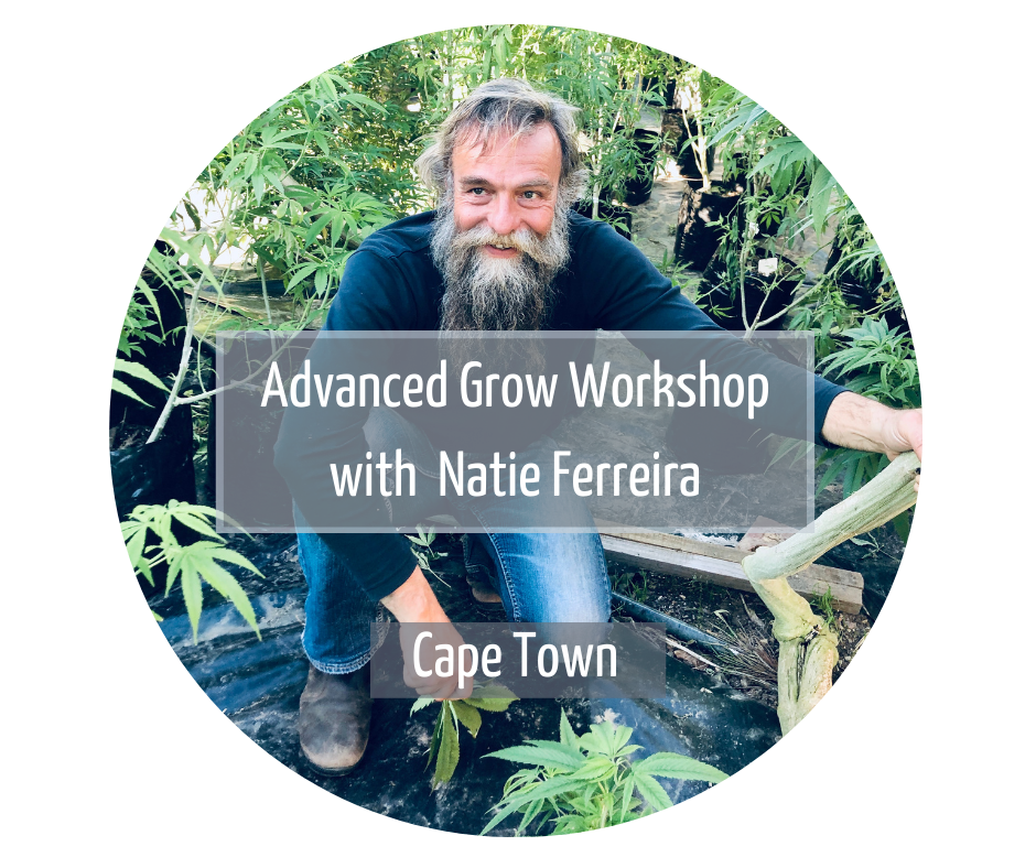Cannabis Grow Courses